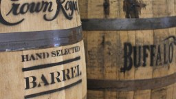 Guyism Archives - BroBible