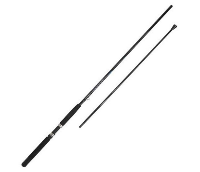 The 10 Best Saltwater Fishing Rods For Every Occasion, The Rods That ...