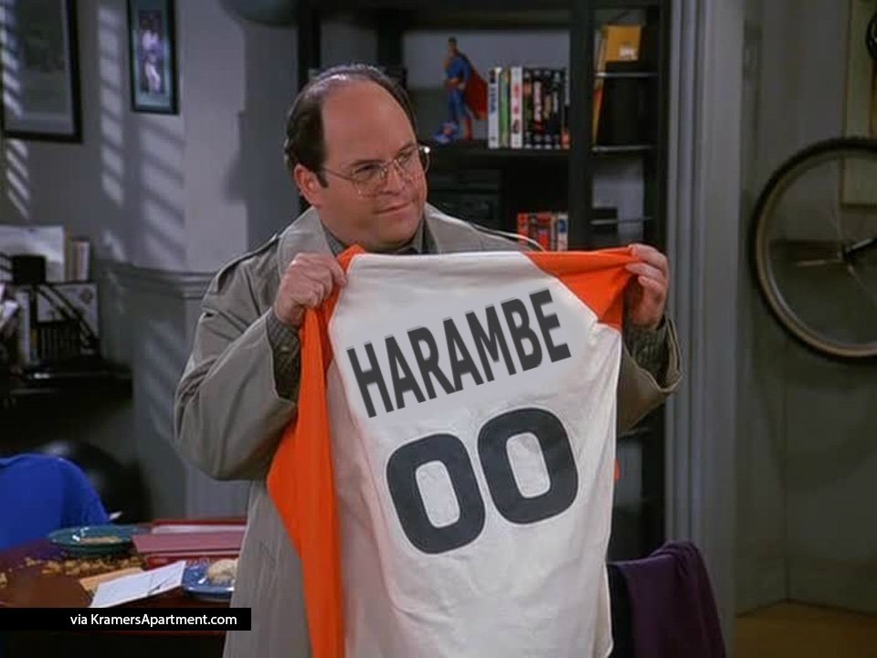 One Year Ago Today, Harambe Was Taken From Us, Celebrate His Life With ...