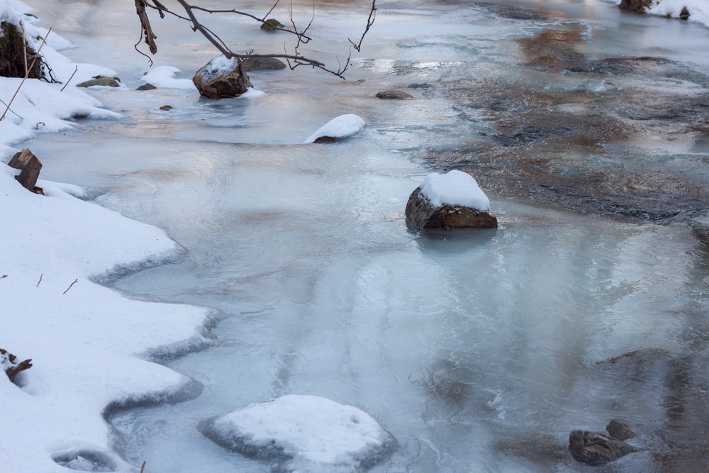 Red Fox Falls Into River, Comes Out Completely Frozen Inside Of An Ice ...