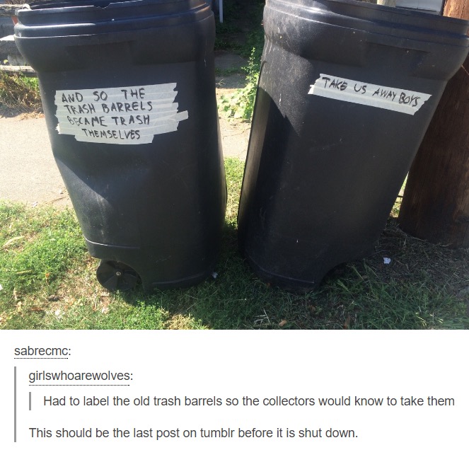 51 Times We Laughed Our Asses Off On Tumblr - BroBible