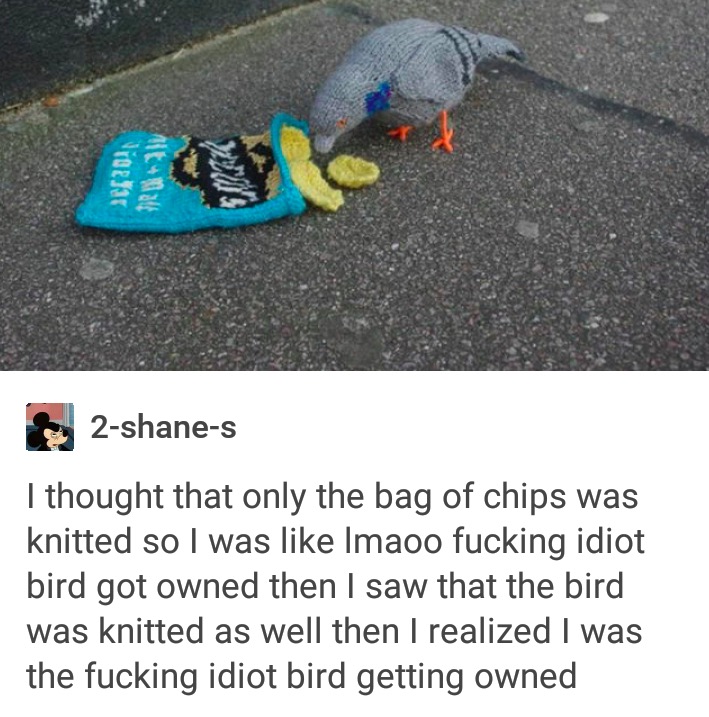 55 Times We Laughed Our Asses Off On Tumblr - BroBible