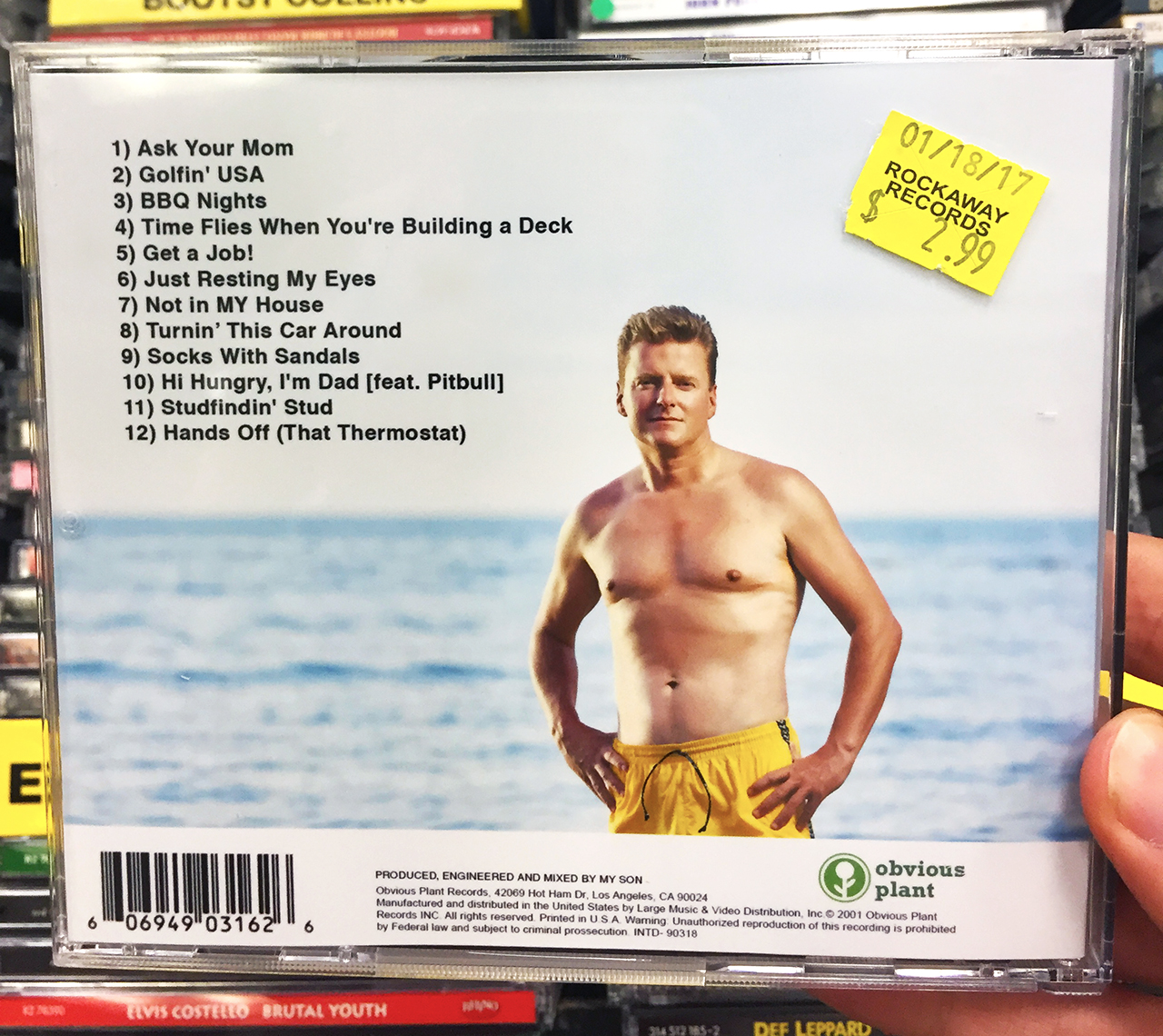 Bro Sneaks Fake CDs Into Local Music Store And These Album Covers Are ...