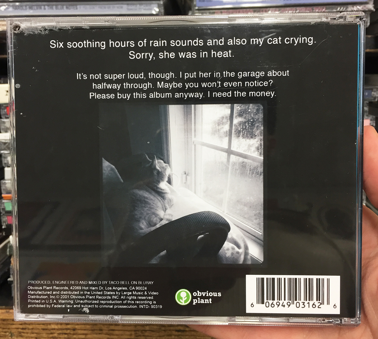 Bro Sneaks Fake CDs Into Local Music Store And These Album Covers Are ...