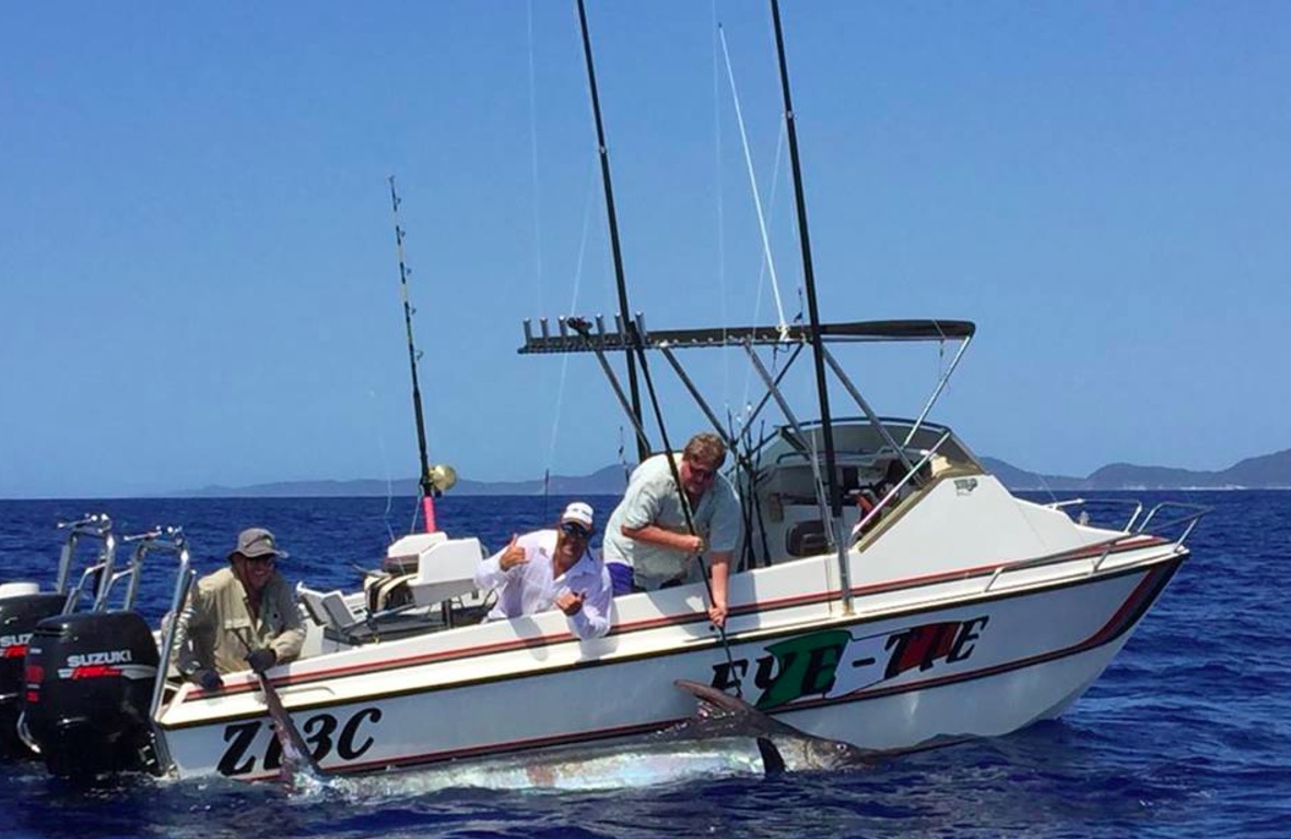 First 'Grander' Blue Marlin Caught Off South Africa — 1,245-Pound Fish ...