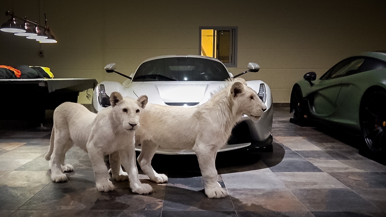 Check Out This Baller AF Garage Featuring Supercars And White Lions ...