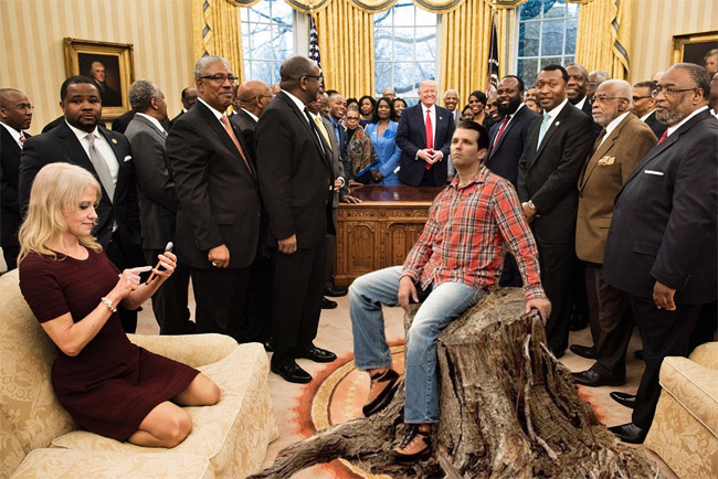 Donald Trump, Jr. Responded To All The Glorious Memes About His ...