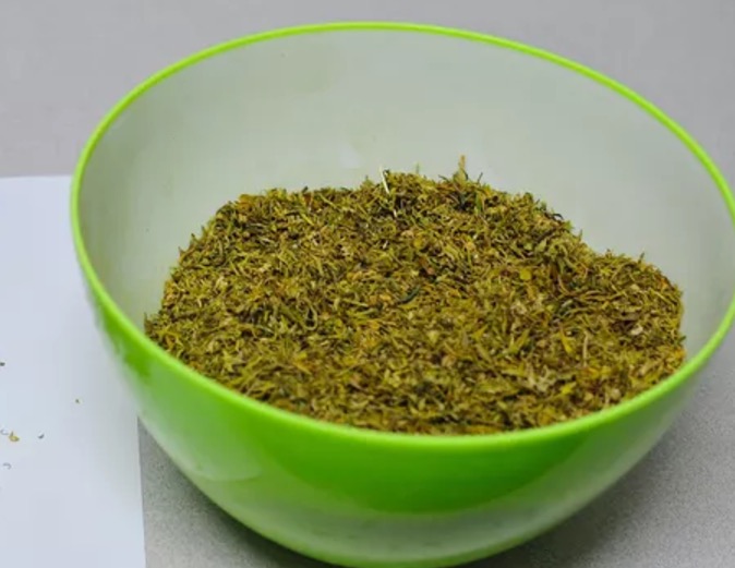U.S. Government Is Growing The Worst Weed EVER And Passing It Off As ...
