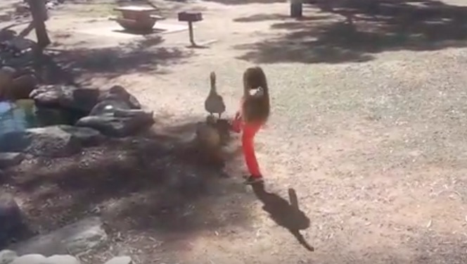 Two Little Girls Get Their First Taste Of Instant Karma After They ...