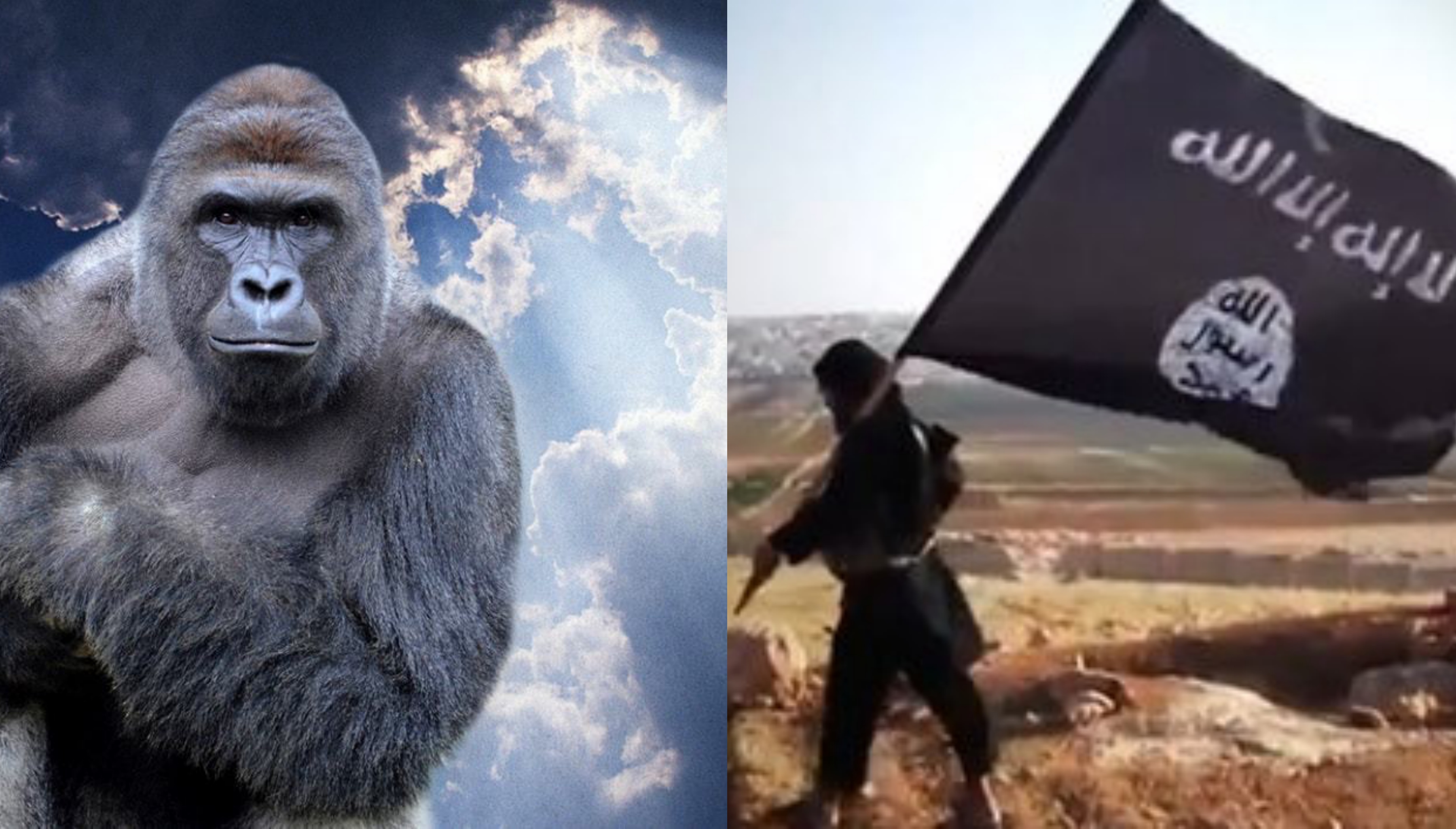 Isis Harambe Is This Chick's Real Name, But It Wasn't Weird For Her ...