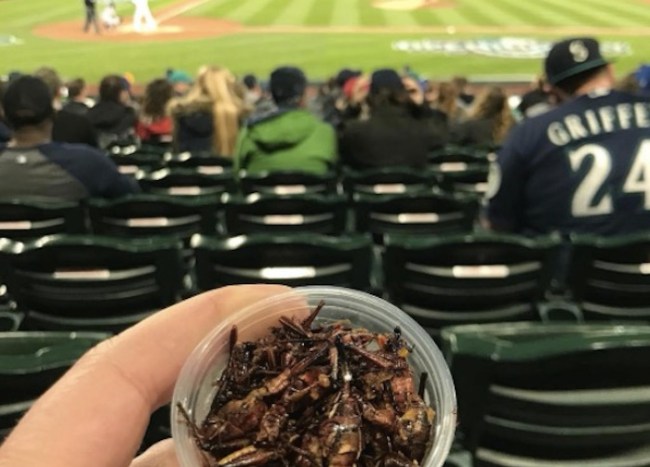 Seattle Mariners Fans Are Eating An Alarming Amount Of Insects This Season
