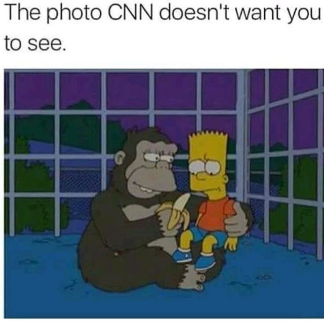 One Year Ago Today, Harambe Was Taken From Us, Celebrate His Life With ...