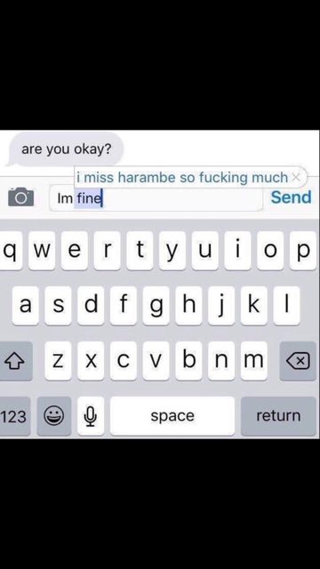 One Year Ago Today, Harambe Was Taken From Us, Celebrate His Life With ...