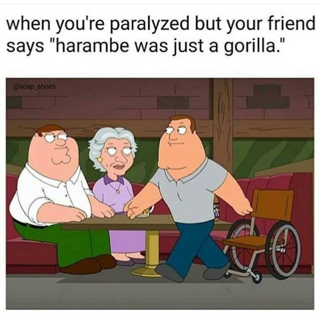 One Year Ago Today, Harambe Was Taken From Us, Celebrate His Life With ...