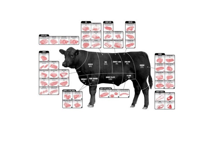 Butcher Shows You How To Cut Every Piece Of The Cow While Explaining ...