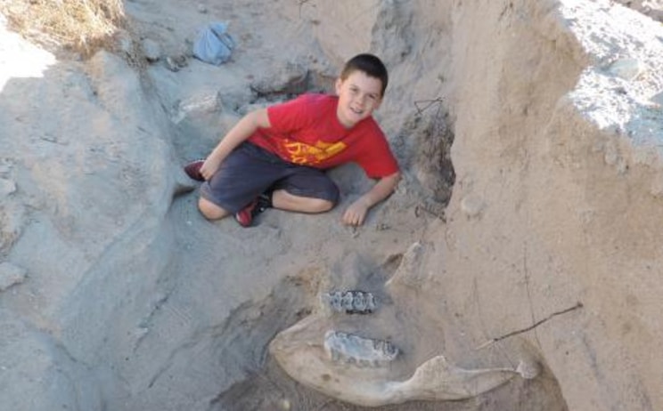 9-Year-Old Kid Discovers Million-Year-Old Fossil By Tripping Over It ...