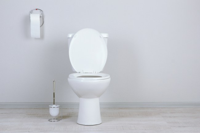 There’s Poop Everywhere Because You’ve Been Flushing The Toilet Wrong ...