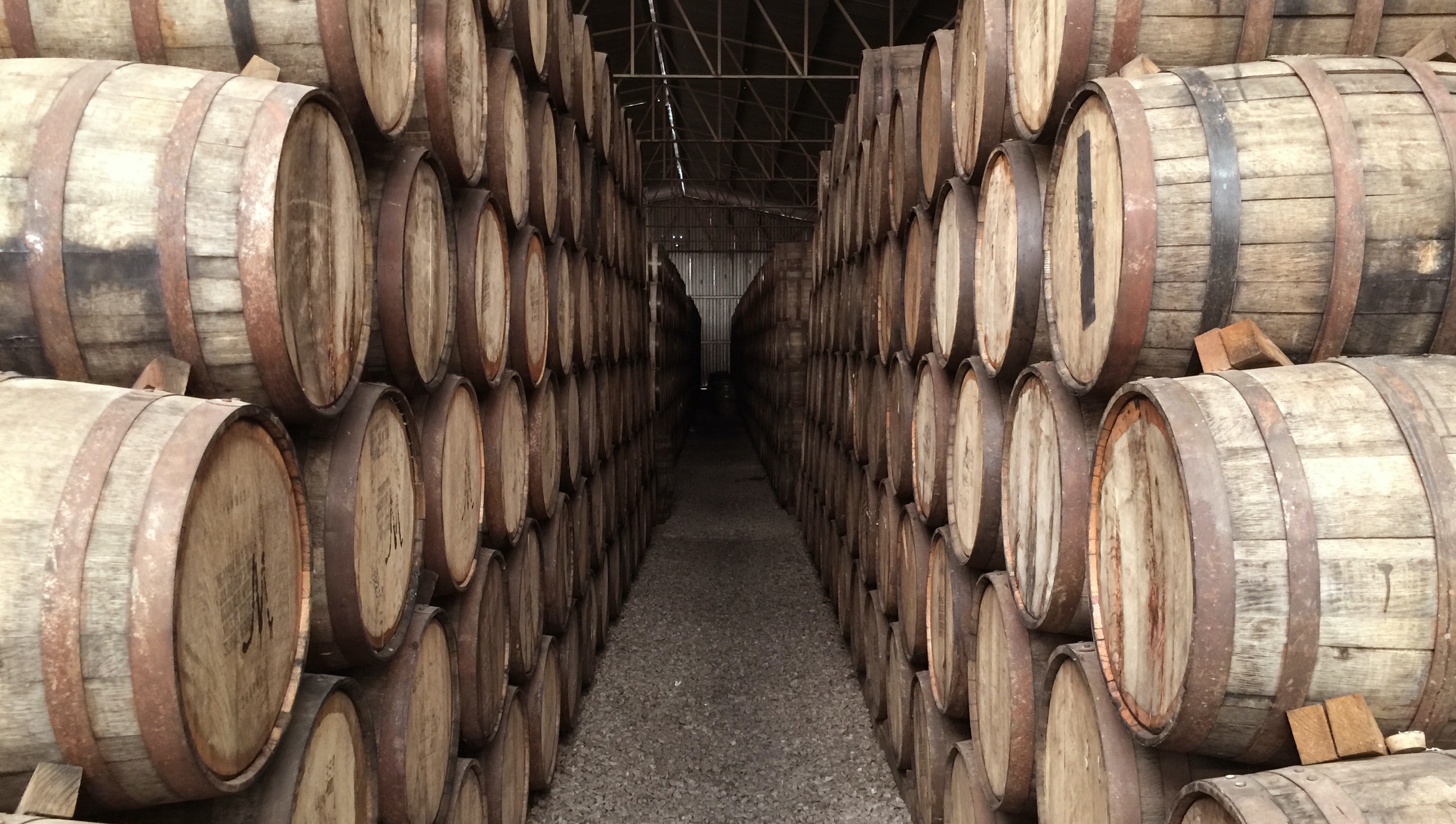 Explaining The Differences Between Every Type Of Tequila