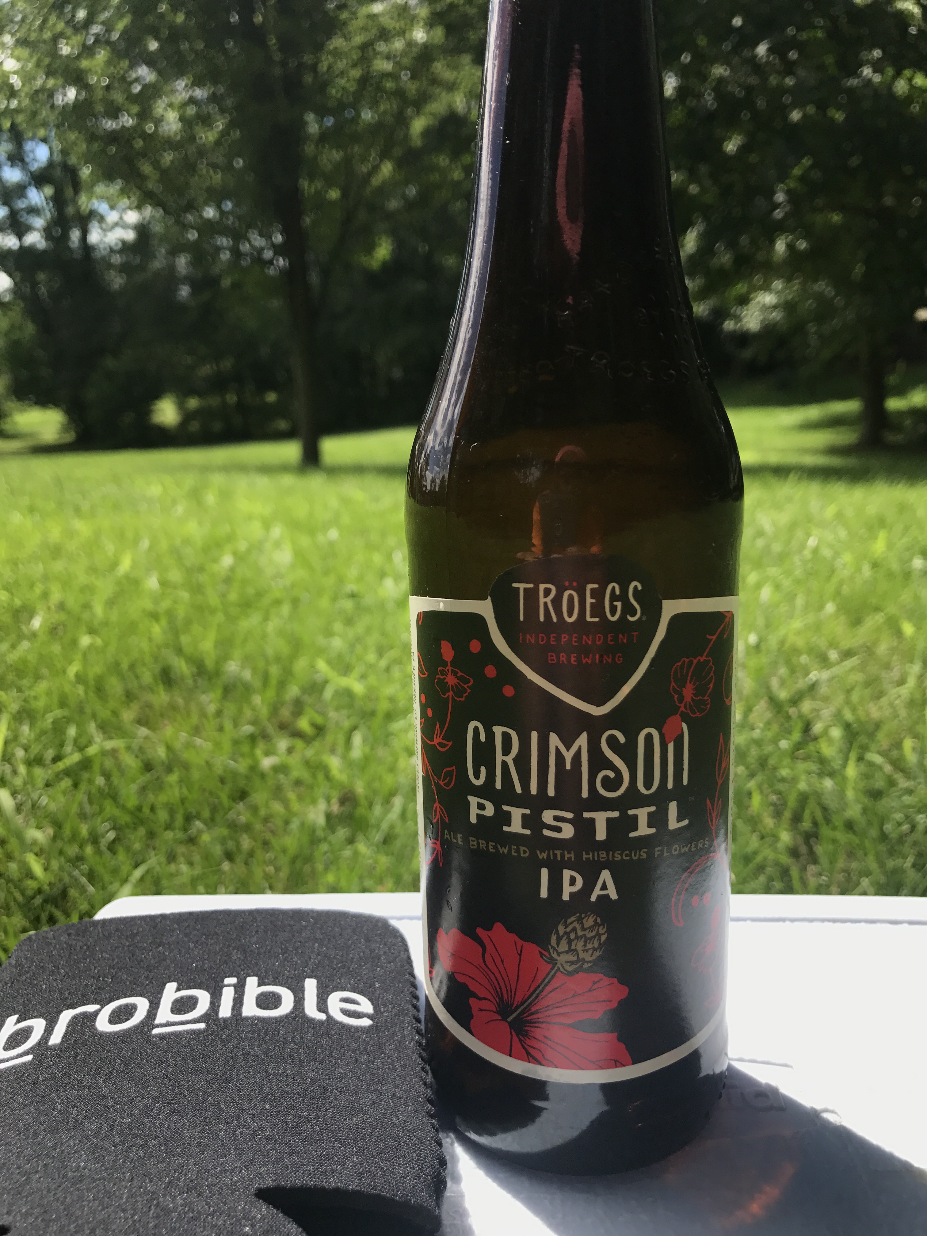 12 More IPAs To Try Before You Die, In Honor Of National IPA Day - BroBible