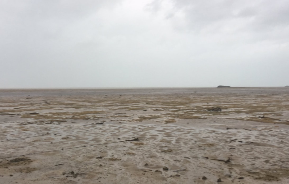 Hurricane Irma Causes Ocean To Disappear And Seas Go Dry In Bahamas And ...