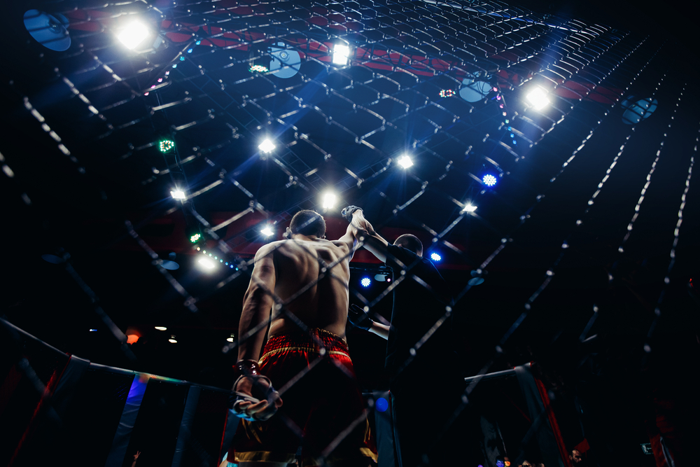 An MMA Fan Came Out Of The Crowd To Fight And Walked Away With A ...