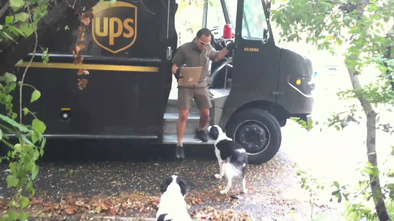 There's A Facebook Page Full Of Awesome Pics And Videos Of UPS Drivers ...