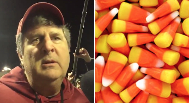 Washington State Football Coach Mike Leach Perfectly Sums Up The Demon ...