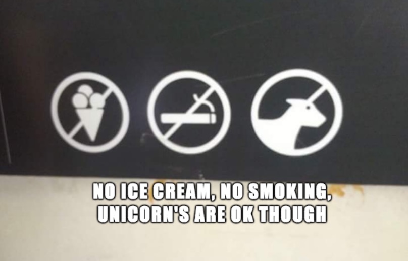 60 Of The Best Damn Photos On The Internet This Afternoon - BroBible