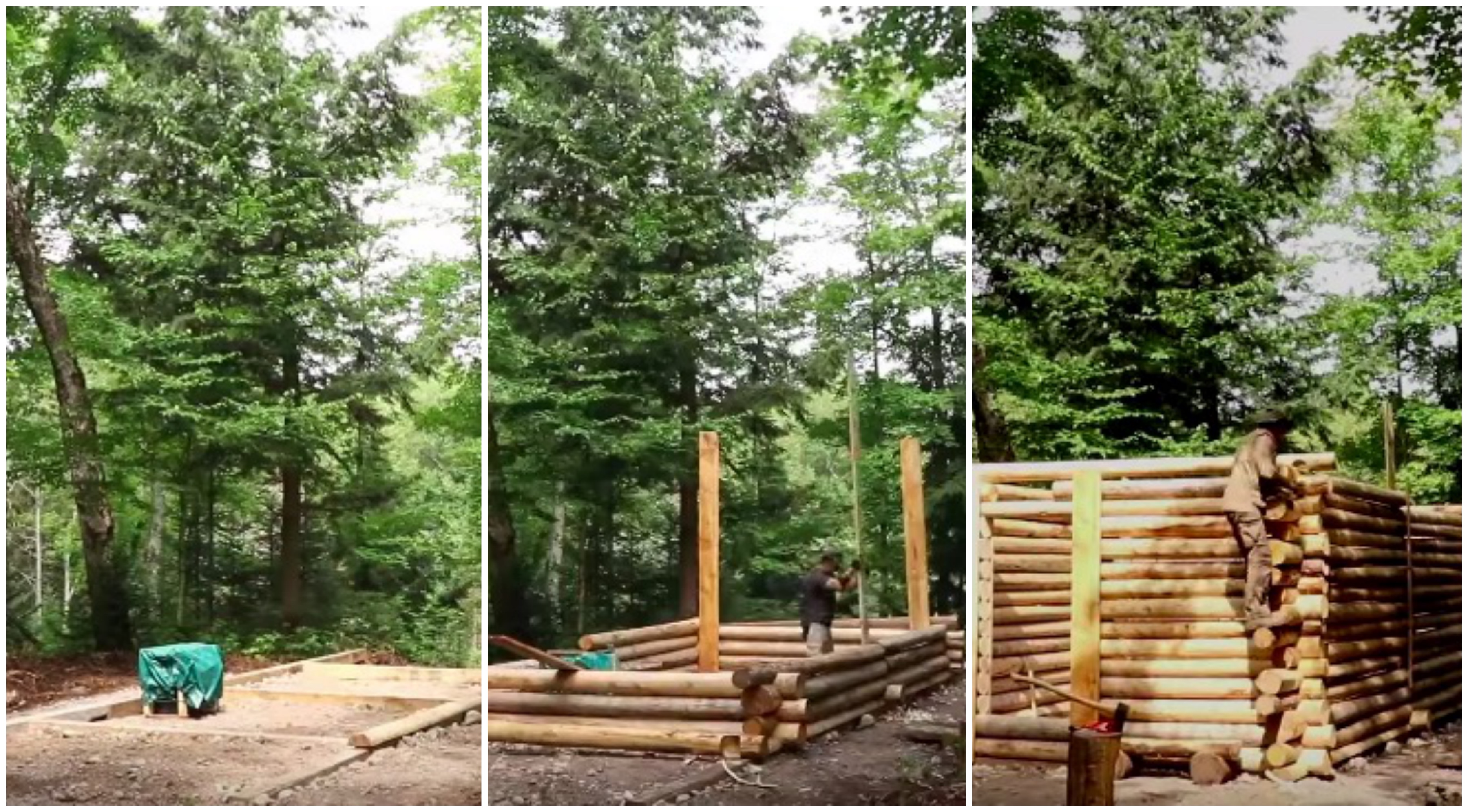Time Lapse Of One Man Building A Log Cabin In The Woods From Scratch ...