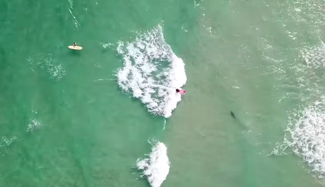 Crazy 4K Drone Footage Captures Florida Surfer Falling On Top Of A ...