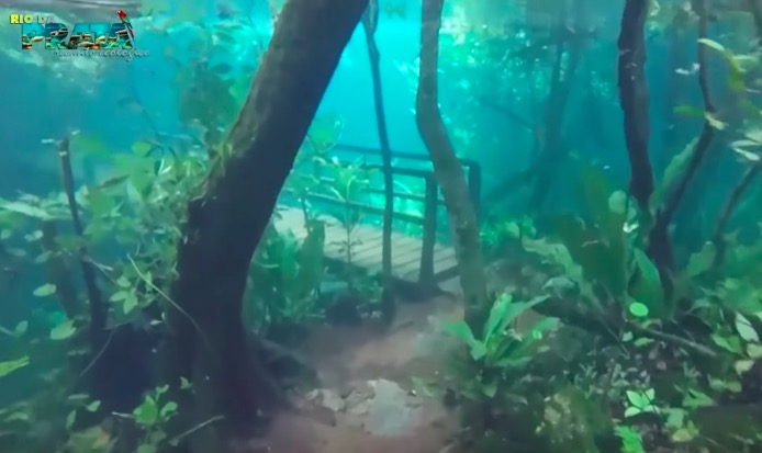 Heavy Flooding Perfectly Preserved A Hiking Path And Bridge Underwater ...