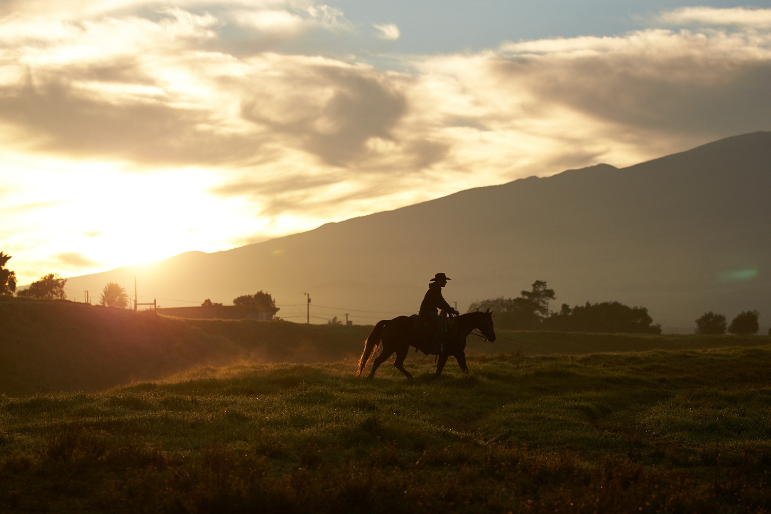 Parker Ranch On Hawaii's Big Island Has Been Home To Cowboys For ...