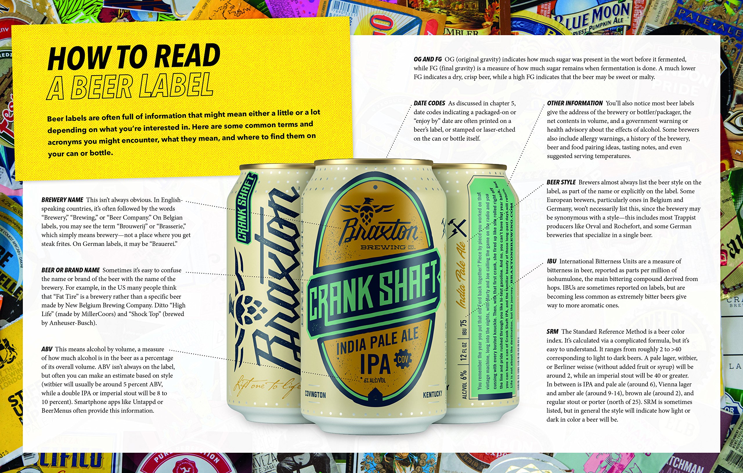 This Guide To Beer Believes Reading About The Stuff Isn't Enough - So ...