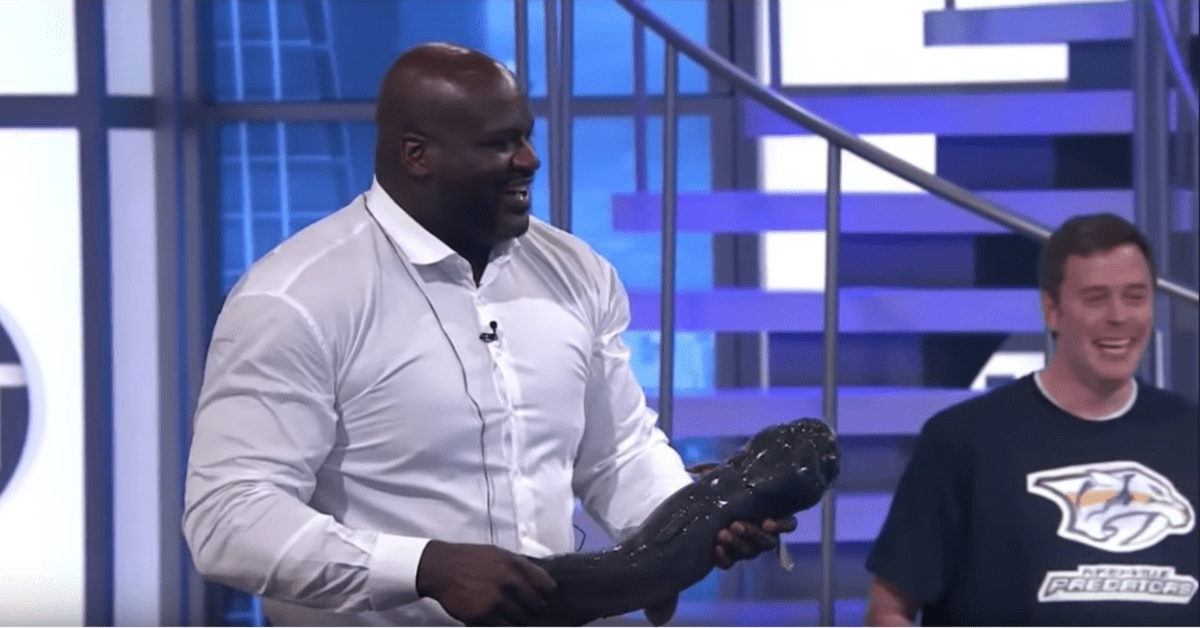 Watch Shaq Try To Hit Charles Barkley With A Catfish - BroBible