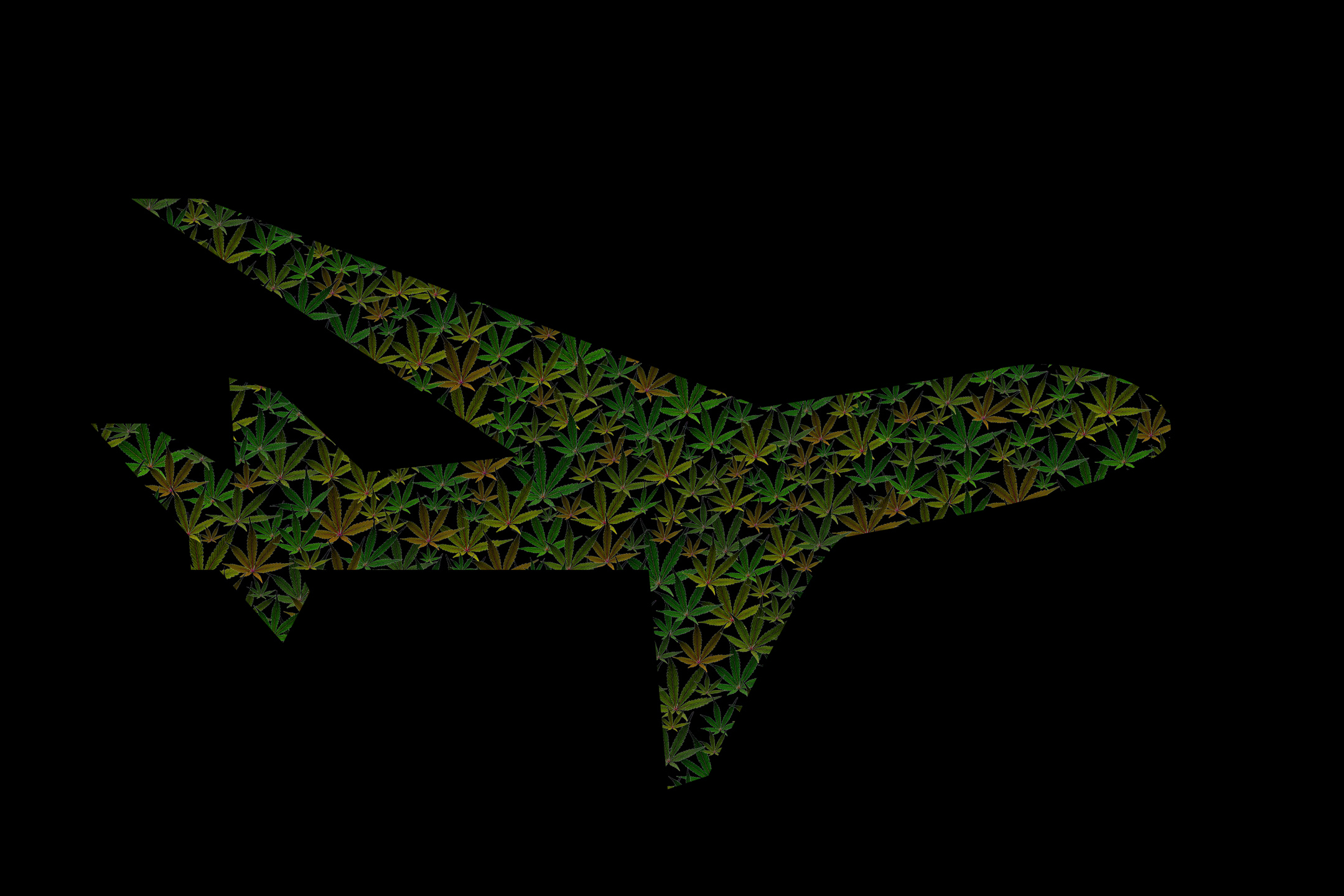 Toker Traveler Everything You Need To Know About Driving And Flying