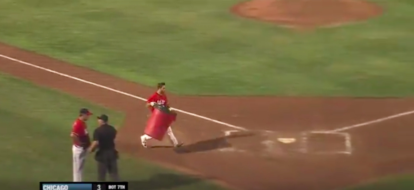 Baseball Player Incorporates Trash Can In The Most Disrespectful Umpire ...