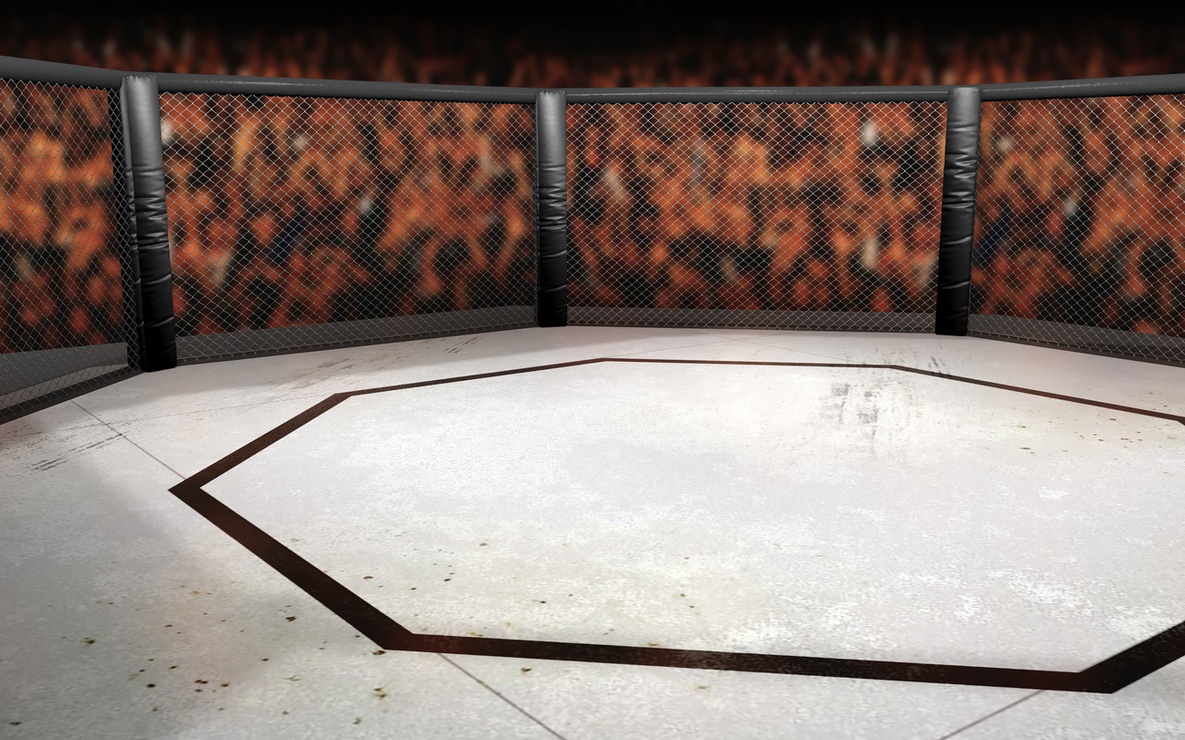 Here's Why The UFC Cage Is An Octagon