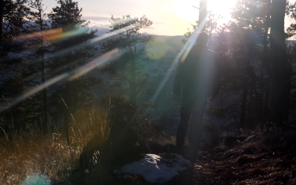 Man Who Killed Mountain Lion With Bare Hands Explains How He Survived ...