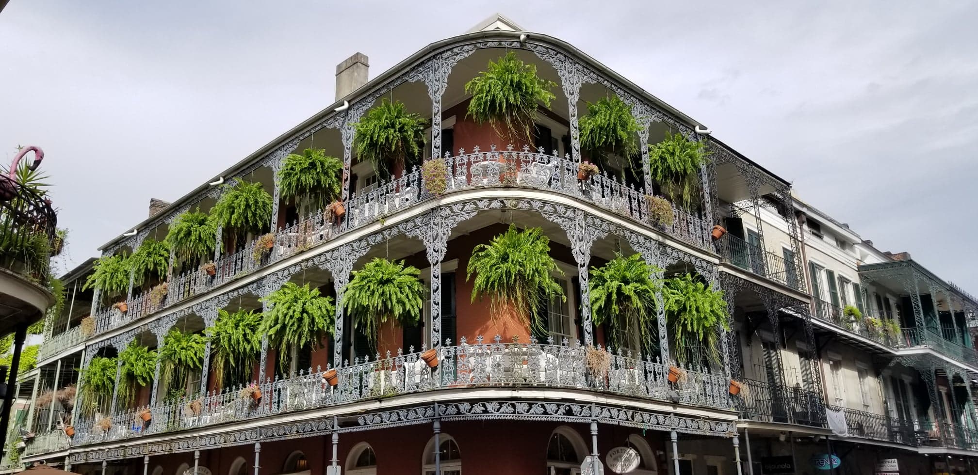 9 Things To Do In New Orleans Right Now - BroBible
