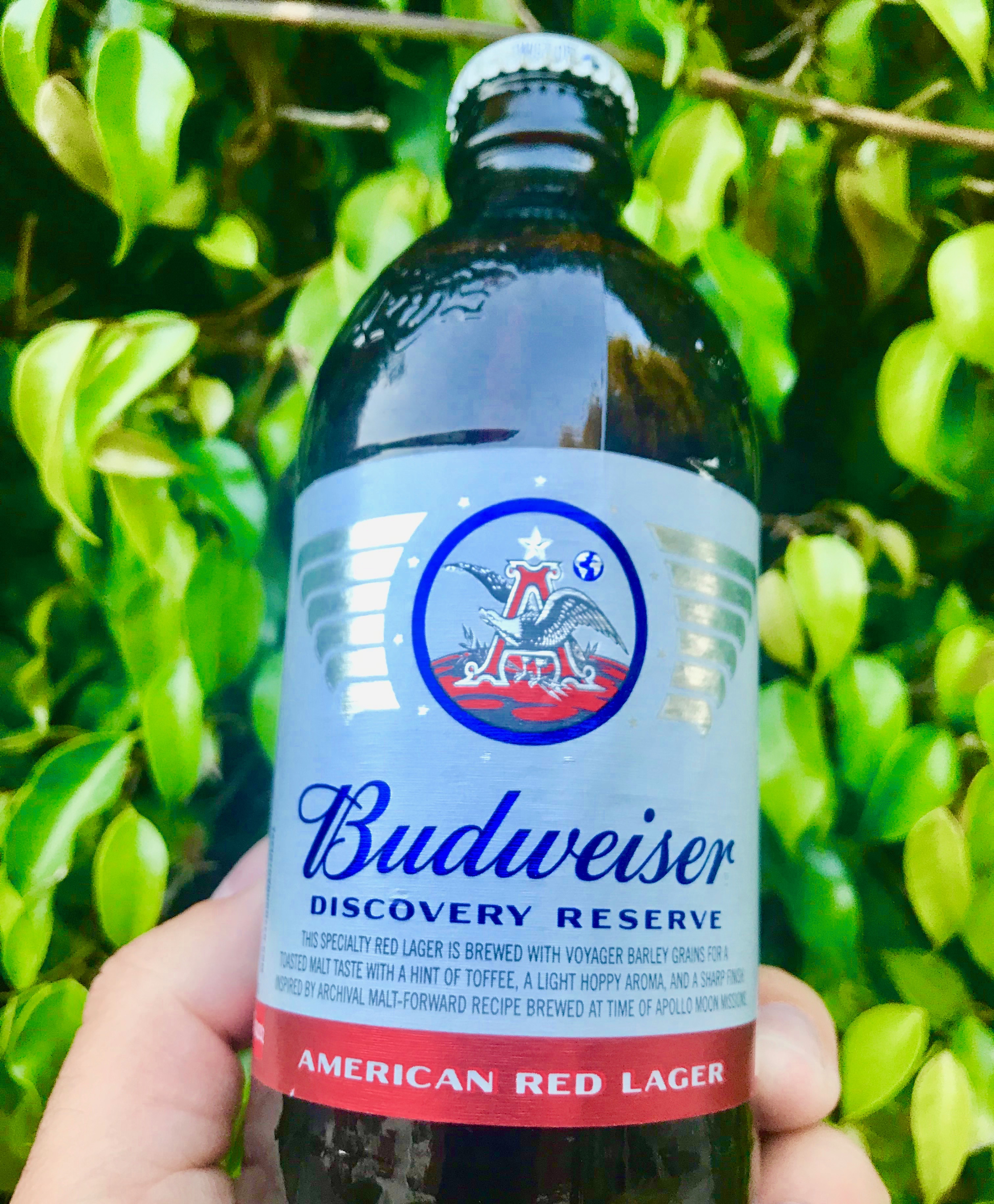 Budweiser Discovery Reserve Beer Review: An American Red Lager That ...