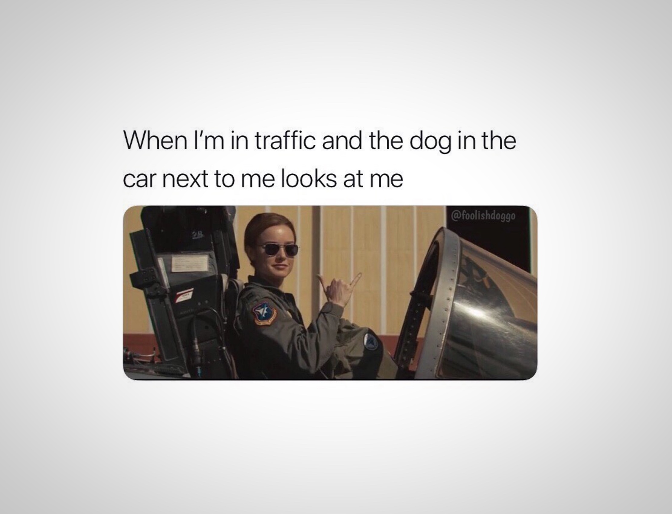 43 Of The Best Damn Photos On The Internet This Afternoon - BroBible