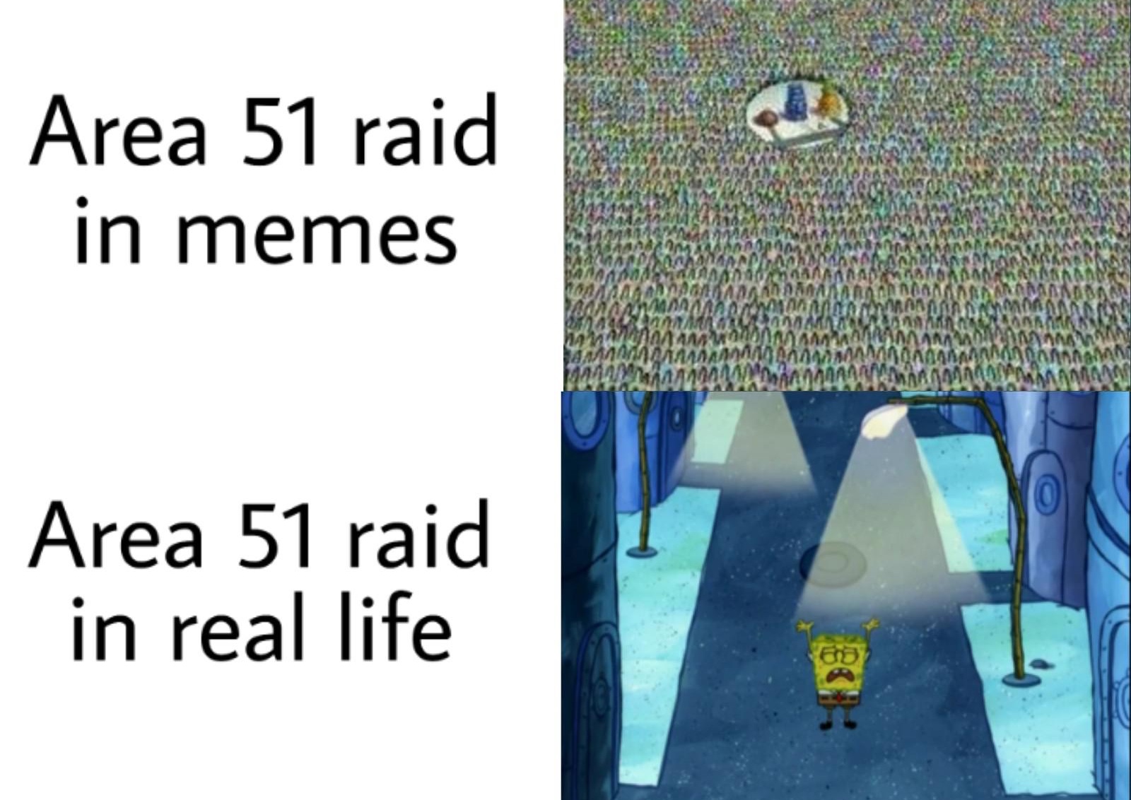 43 Of The Best Damn Photos On The Internet This Afternoon - BroBible