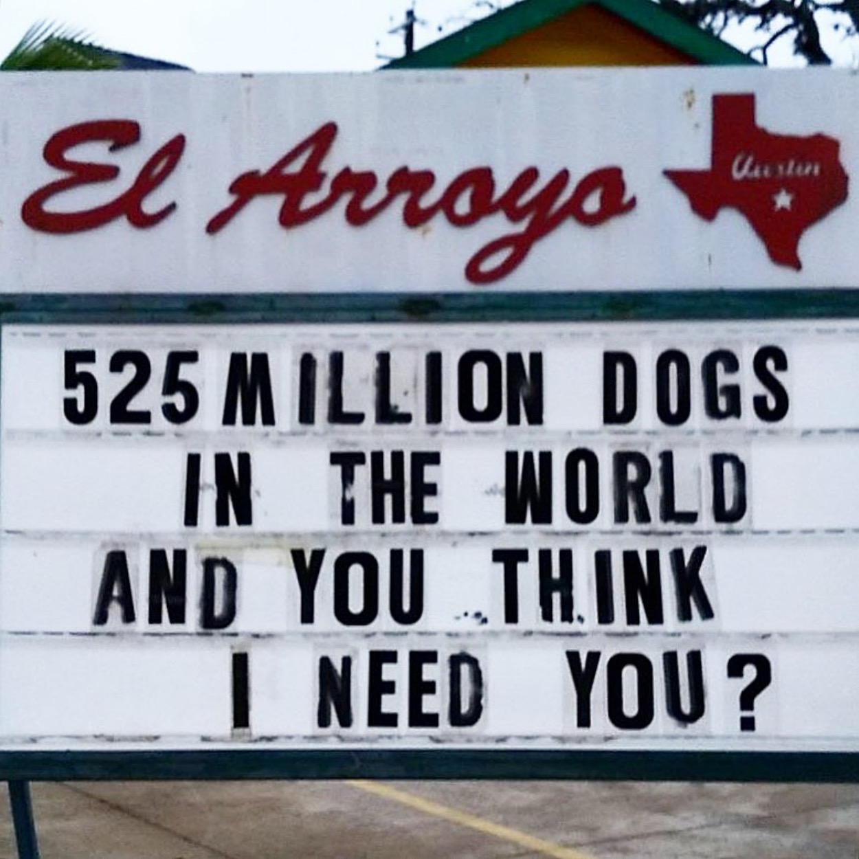 50 Of The Best Damn Photos On The Internet Today - BroBible