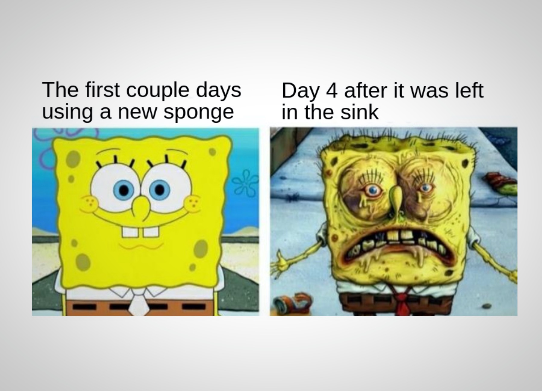 50 Of The Best Damn Photos On The Internet Today - BroBible