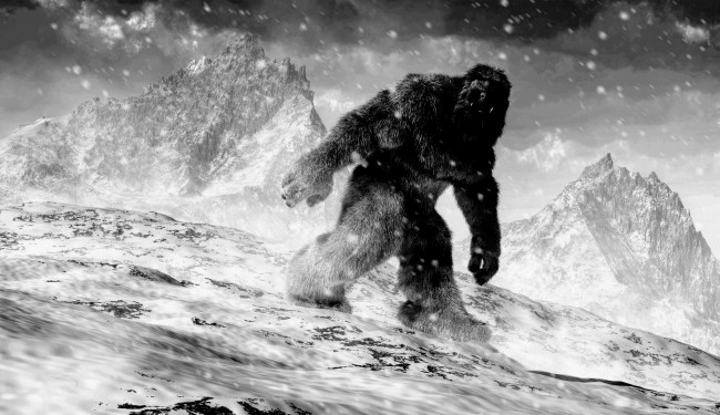Oil Field Worker In Alberta, Canada Captures Bigfoot Sighting On His ...
