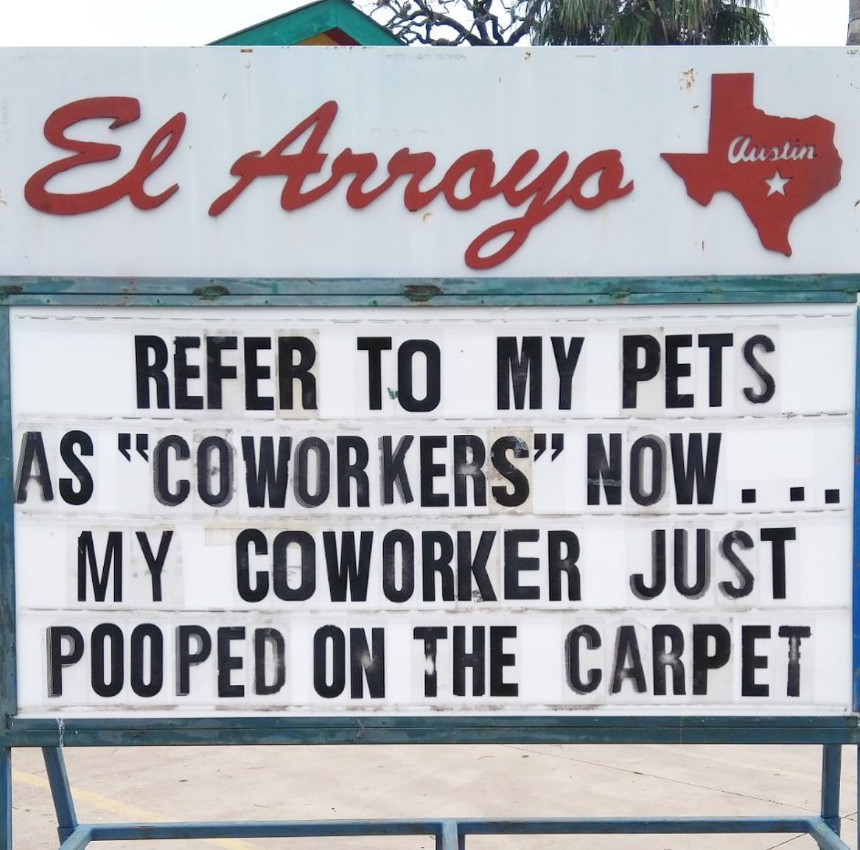 50 Of The Best Damn Photos On The Internet Today - BroBible