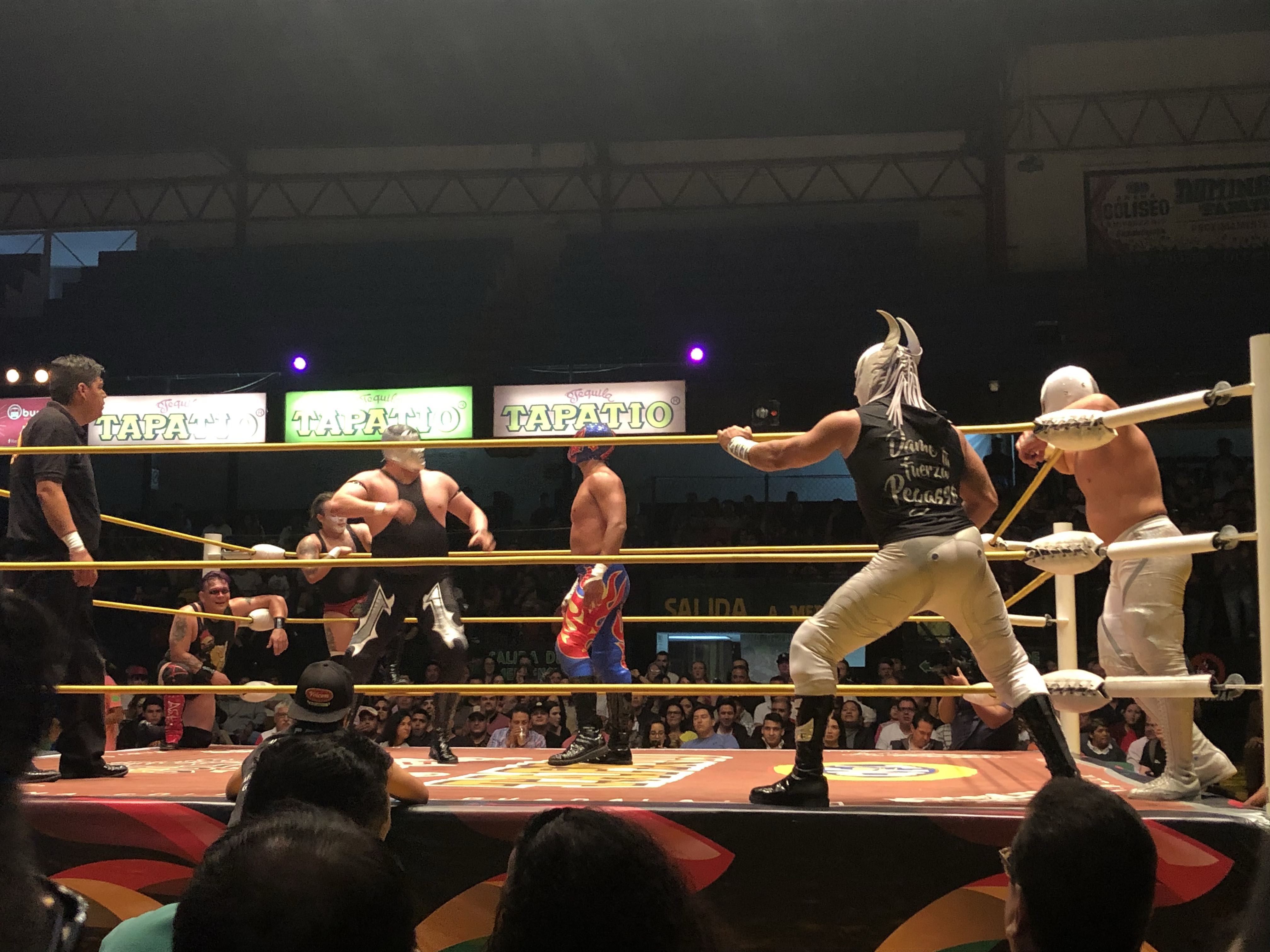 Tequila And Lucha Libre: A Quarantine Traveling Day Dream From ...