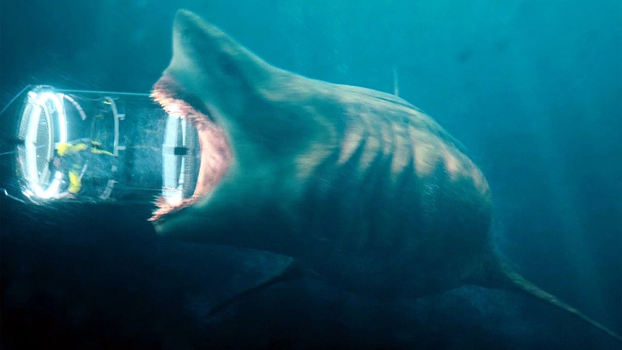Which Of The Most Fearsome Sharks In Movie History Would Win In A ...