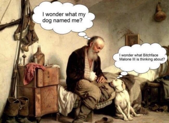 50 Of The Best Damn Photos On The Internet Today - BroBible