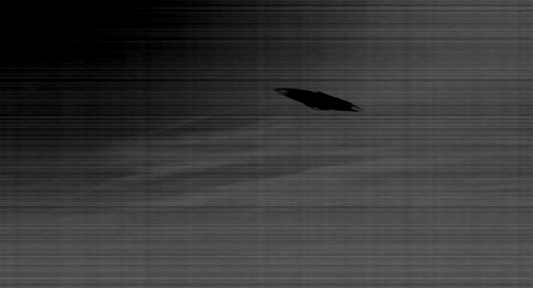 NASA Turns Camera Away As UFO Is Spotted On International Space Station ...